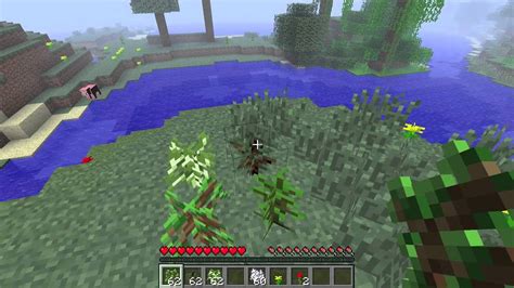 Minecraft 124 Jungle Sapling Glitch Unlimited Jungle Tree Saplings