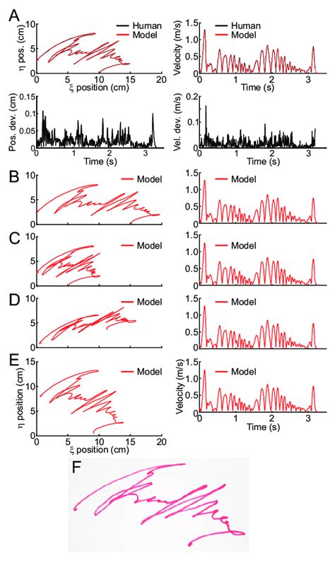A Comparison Of Signatures Signed By A Person And Generated By The