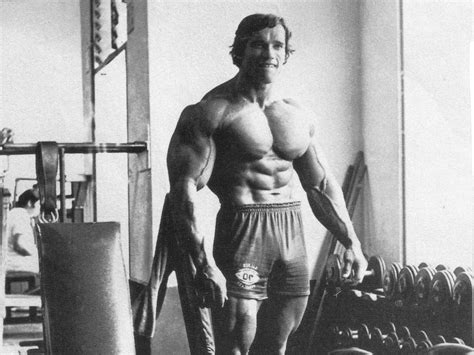 Arnold Schwarzenegger Bodybuilding Wallpapers Top Free Arnold