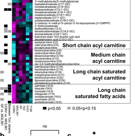 Turicibacter Isolates Differ In Their Bile Modifying Abilities A Download Scientific Diagram