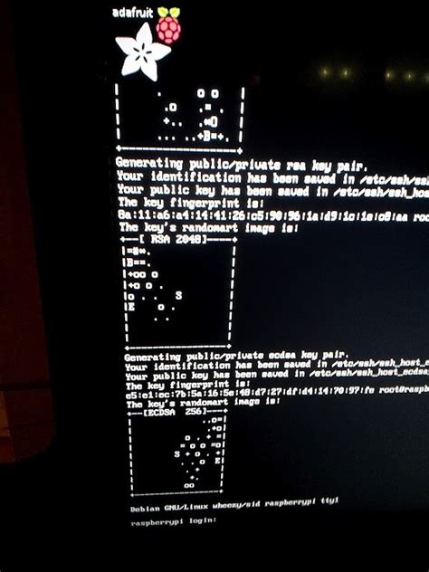 Raspberry Pi Speaks Wire With Adafruit S Occidentalis Image Element Community