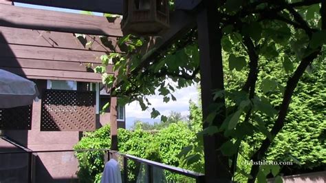 ClubStiletto What Are Your Special Slave Skills Porno Videos Hub