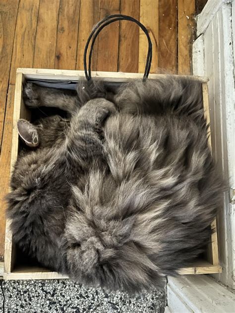 There Are No Outer Limits Rififitsisits