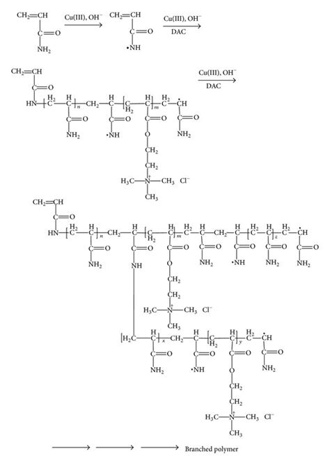 Synthesis Reaction Of Branched Cationic Polyacrylamide Download