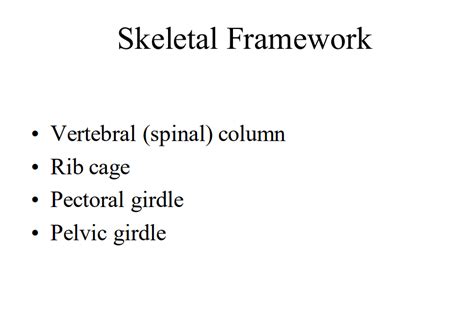 Skeletal Framework Vertebral Spinal Column Rib Cage Pectoral Girdle Pelvic Girdle