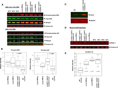 46 XY Disorders Of Sex Development Semantic Scholar