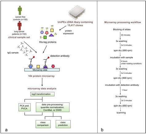 microarrays free full text immune signatures for lung cancer diagnostics evaluation of