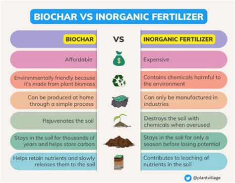 Mboni Ya Vijana To Introduce Biochar Use And Clean Seed Farms Mboni Ya Vijana