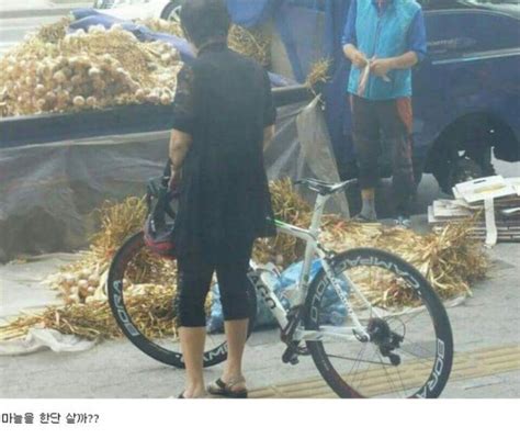 자전거 끌고 마늘 사는 아줌마 인스티즈 Instiz 이슈 카테고리