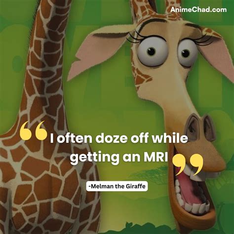 25 Iconic Madagascar Quotes That Well Never Forget Animechad