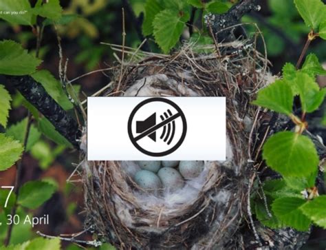 Mute Mic With A Keyboard Shortcut On Windows Tech Support