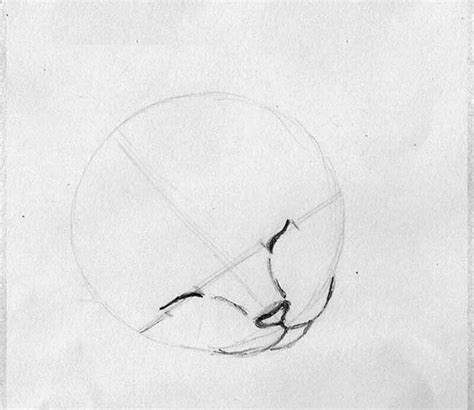 How To Draw A Sleeping Kitten Step By Step Drawing Tutorial