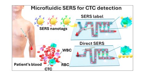 Microfluidic Sers Technologies For Ctc A Perspective On Clinical