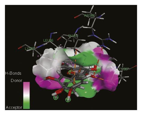 Three Dimensional Molecular Docking Model A Akt1 3mv5 B