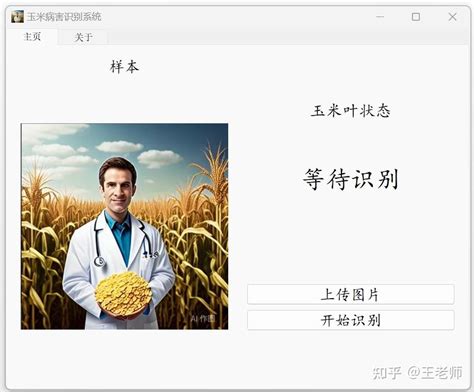 基于tensorflow卷积神经网络玉米病害识别系统 知乎 基于tensorflow卷积神经网络玉米病害识别系统 知乎