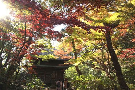 横浜三渓園 GANREF