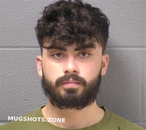 Shell Eric Emerson 01 20 2023 Will County Mugshots Zone