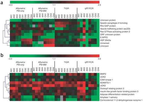 Hierarchical Clustering Of Expression Profiles For Genes Selected For
