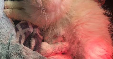 Grumpy Mommy Album On Imgur