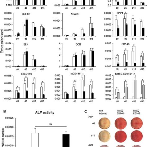 Flow Cytometric Cell Sorting And Cell Characterization A Details From Download Scientific