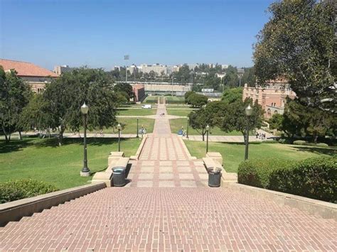 中山医学院学生参加美国加州大学洛杉矶分校医学院暑校学习学生日记 搜狐大视野 搜狐新闻