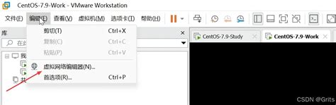 vmware中centos虚拟机配置网络（net模式） vmware net设置 csdn博客
