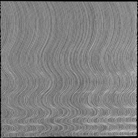 Bridget Riley Paintings