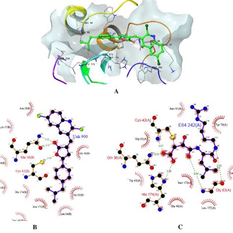 Binding Pose Of Ligands A Reference Ligands Binding Pose Obtained From