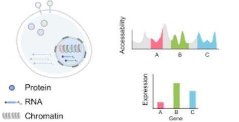 Usama Baloch On Linkedin Datascience