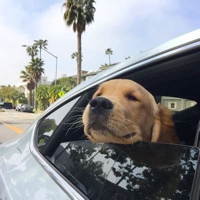 Post 143040942349 Cestlavie Sua Safada Tumblr Com Tumbex