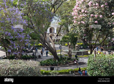 Parque Central Antigua Guatemala Central America The Park In The