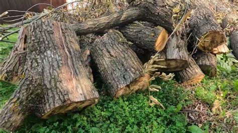 Добрые с наружи ужасные внутри Youtube