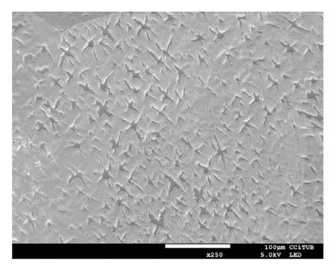 Scanning Electron Microscope Picture Of Graphene Grown On Copper Foil