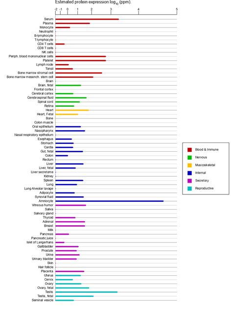 Sparc Gene Genecards Sprc Protein Sprc Antibody