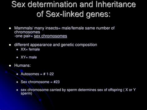 Ppt Chapter Chromosomes Human Inheritance Powerpoint Presentation Id