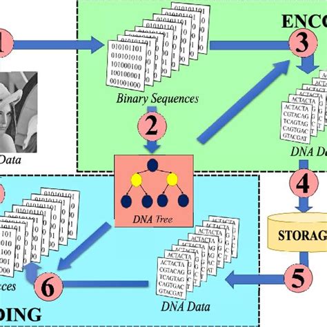 Proposed Method The Input Data Is First Converted To Binary Download Scientific Diagram