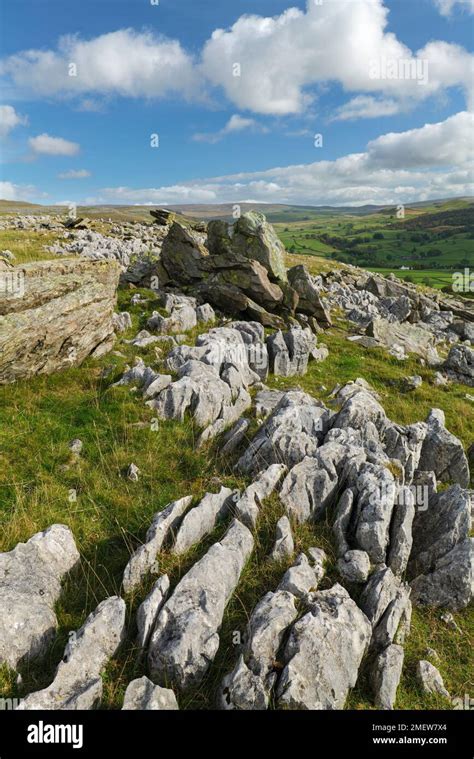 The Norber Erratics Glacial Erratic Boulders On The Southern Slopes Of