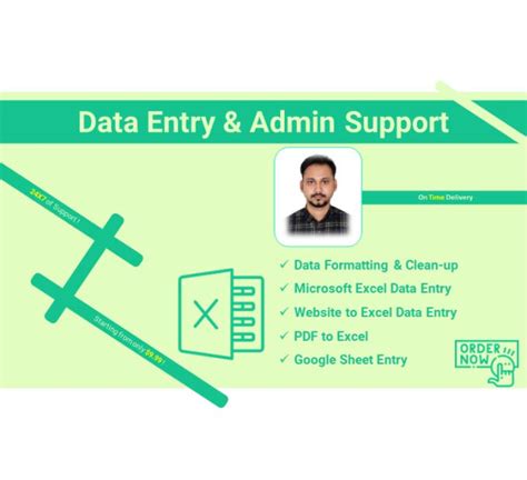 excel formatting and data entry by sanjib700 fiverr