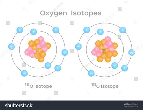 Oxygen Isotope Vector Stock Vector Royalty Free 491794843 Shutterstock