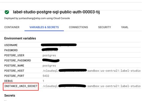 Not Able To Set Up Gcp Cloudsql As Persistent Data Layer With Cloudrun