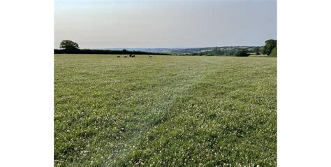 Land At Churchill Farm Loxbeare Lot 5 Ex16 8bx Bamboo Proptech