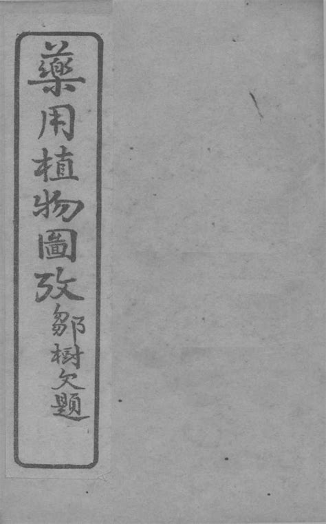 药用植物图考 卷2pdf电子书下载 新叶医学网