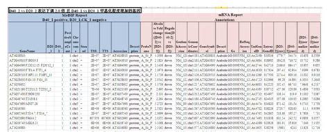 全基因组表达谱芯片 山东解螺旋生物科技有限公司
