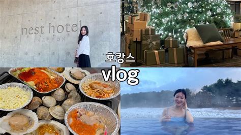 Vlog 크리스마스 네스트호텔 호캉스🎄 수영장 맛녀석들 서해안조개광장 조개구이 칼국수 룸서비스 Youtube
