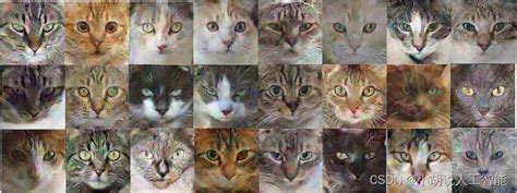 基于cnn数据增强残差网络resnet50的少样本高准确度猫咪种类识别—深度学习算法应用含全部工程源码数据集模型（二）cnn残