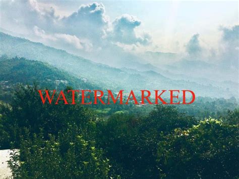 add watermarks to pdf documents and images by ahmedusman475 fiverr