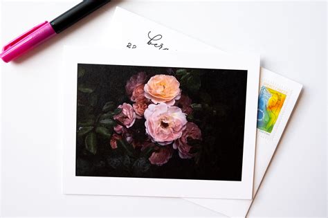 Jane Berger Photography Updated Jane Berger Photography