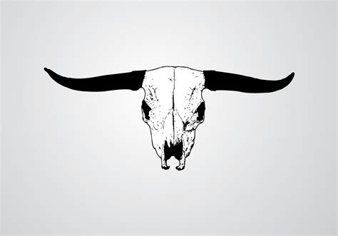 Longhorn Free Vector Art 2134 Free Downloads