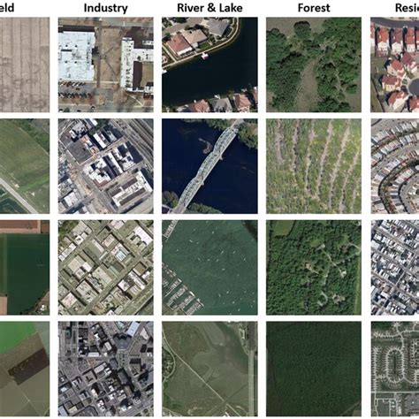 Cifar 100 Dataset Sample Images Download Scientific Diagram