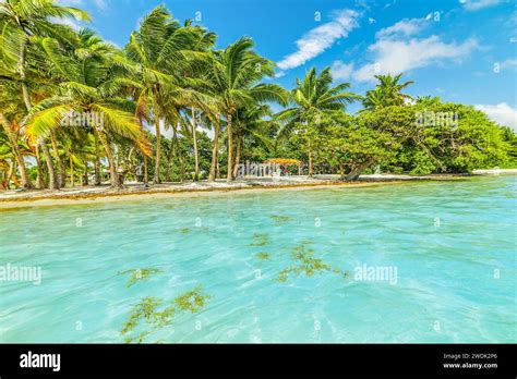 Bois Jolan Beach In Guadeloupe French West Indies Lesser Antilles